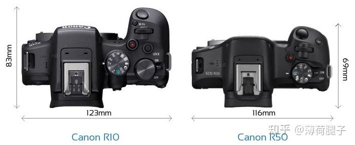 新手选择佳能r10还是r50？ - 知乎
