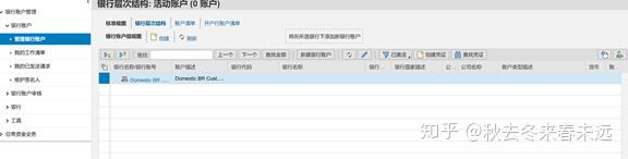 SAP那些事-实战篇-54-中国版资金管理-资金计划功能简介 - 知乎