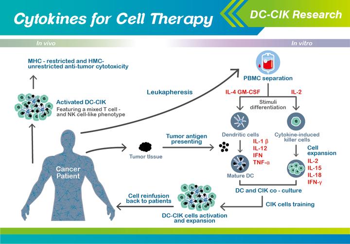 免疫疗法战争: 抗癌疗法DC-CIK的最新进展 - 知乎