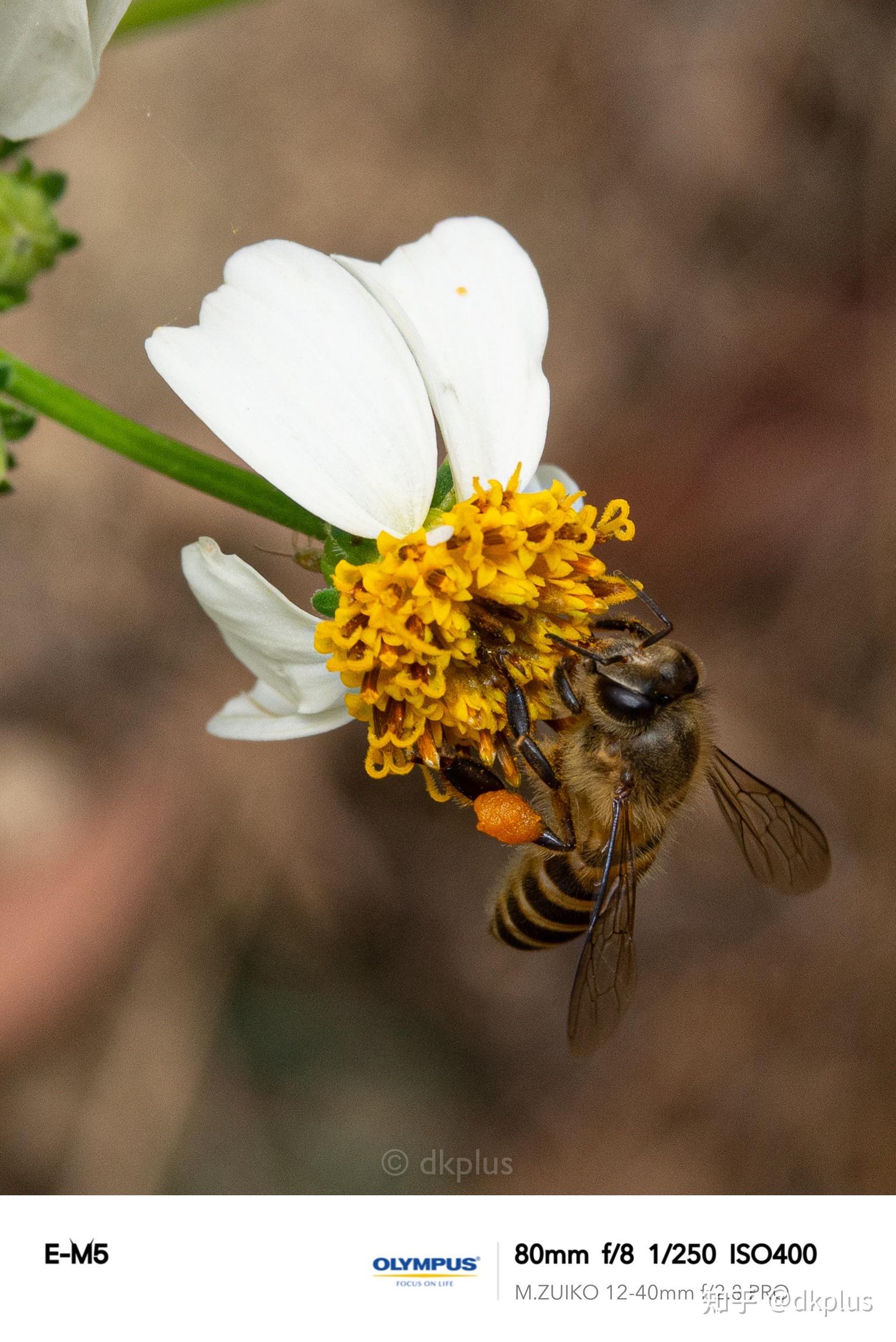 奥林巴斯em5一代和em10二代性能上有什么区别呢？ - 知乎