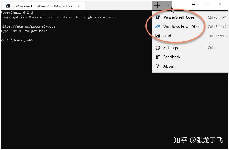 Windows10 安装最新版 PowerShell 及 Windows Terminal 并美化 - 知乎