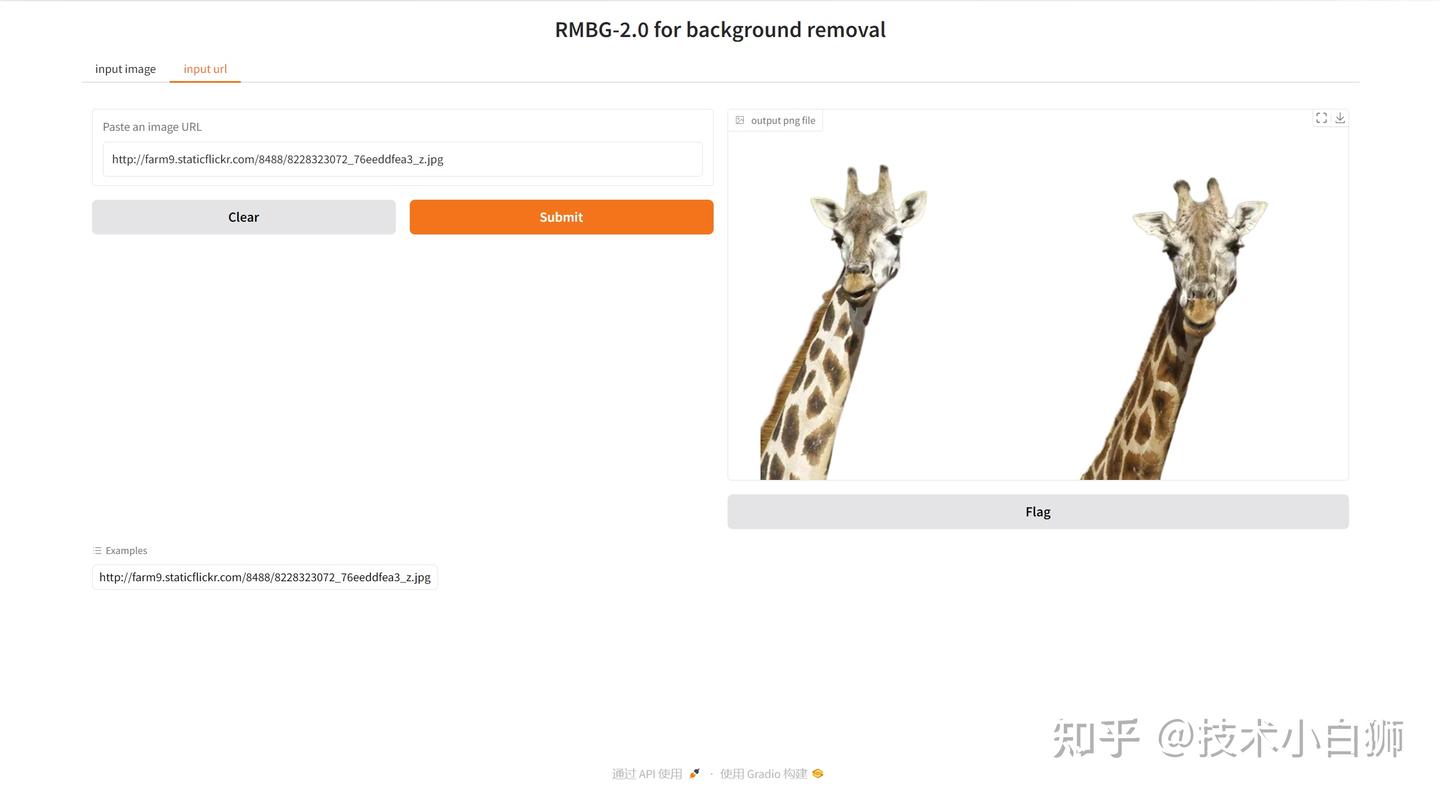 你的抠图好帮手！RMBG-2.0 一键启动教程 - 知乎