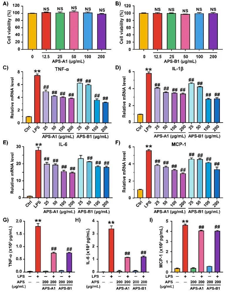 一作解读|IJBM：黄芪多糖的结构表征与抗炎活性 - 知乎