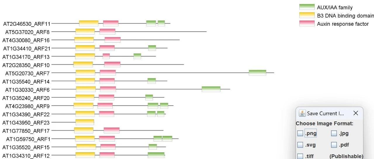 重新上线 | 基因家族序列 Pfam 扫描与可视化 - 知乎