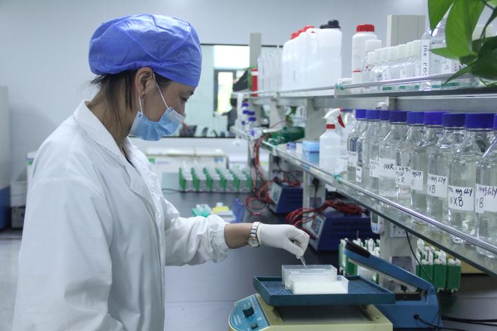 实验干货 分子克隆实验——无缝克隆 知乎