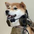 Cache的plru算法实现原理分析 - 知乎