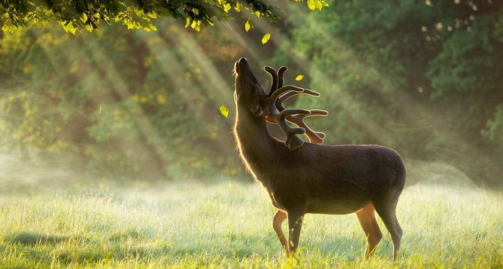 Android 程序员学习——binder内存 - 知乎