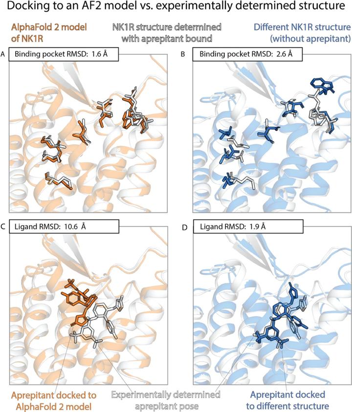 使用AlphaFold2模型预测药物结合模式How accurately can one predict drug binding modes using AlphaFold models? - 知乎