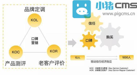 KOC是什么?如何做好KOC用户运营? - 知乎