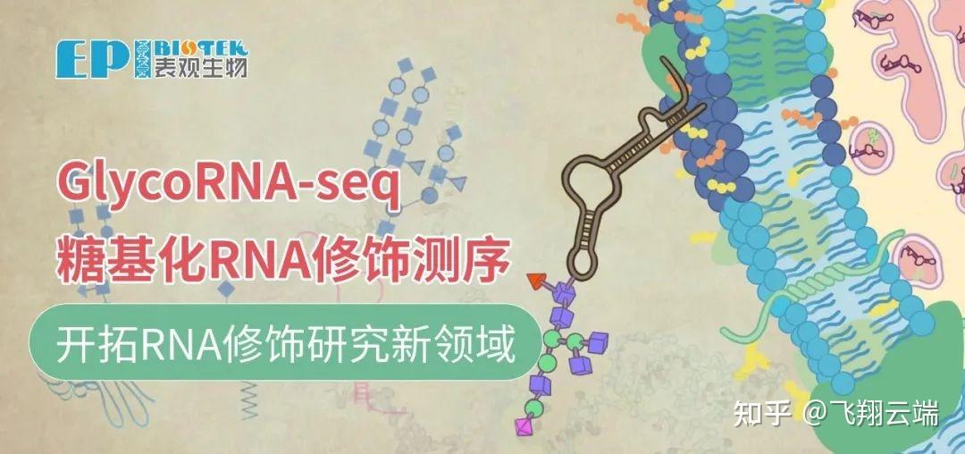 GlycoRNA-seq：RNA糖基化修饰，表观转录组的新星 - 知乎