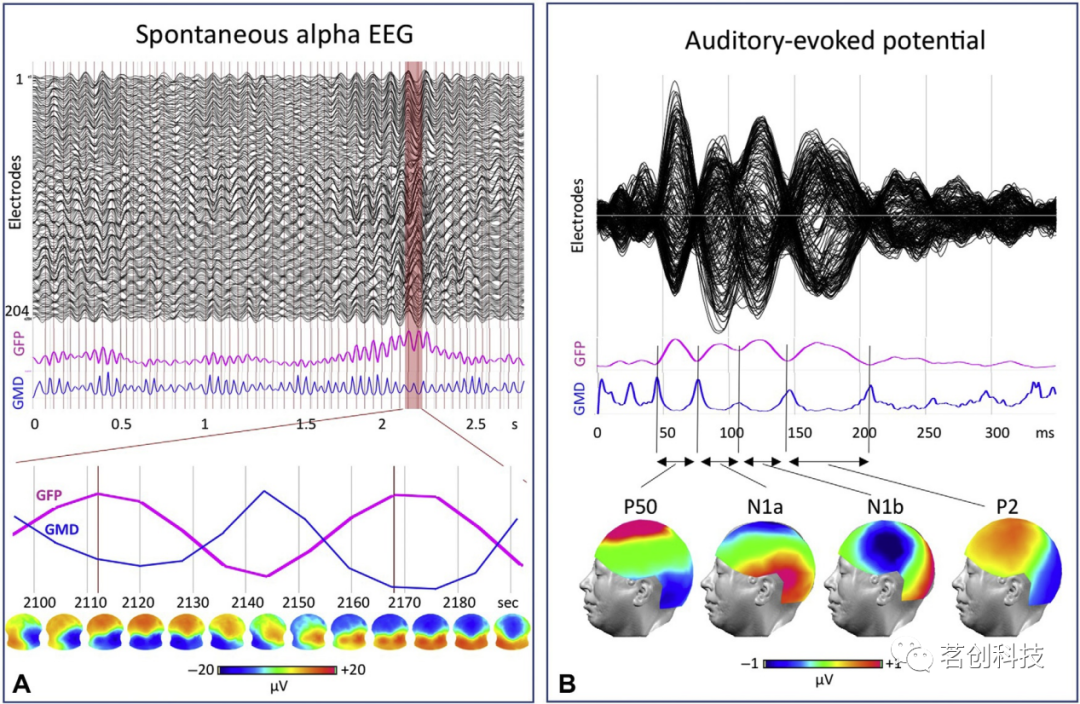 高分辨率EEG的空间分析 - 知乎