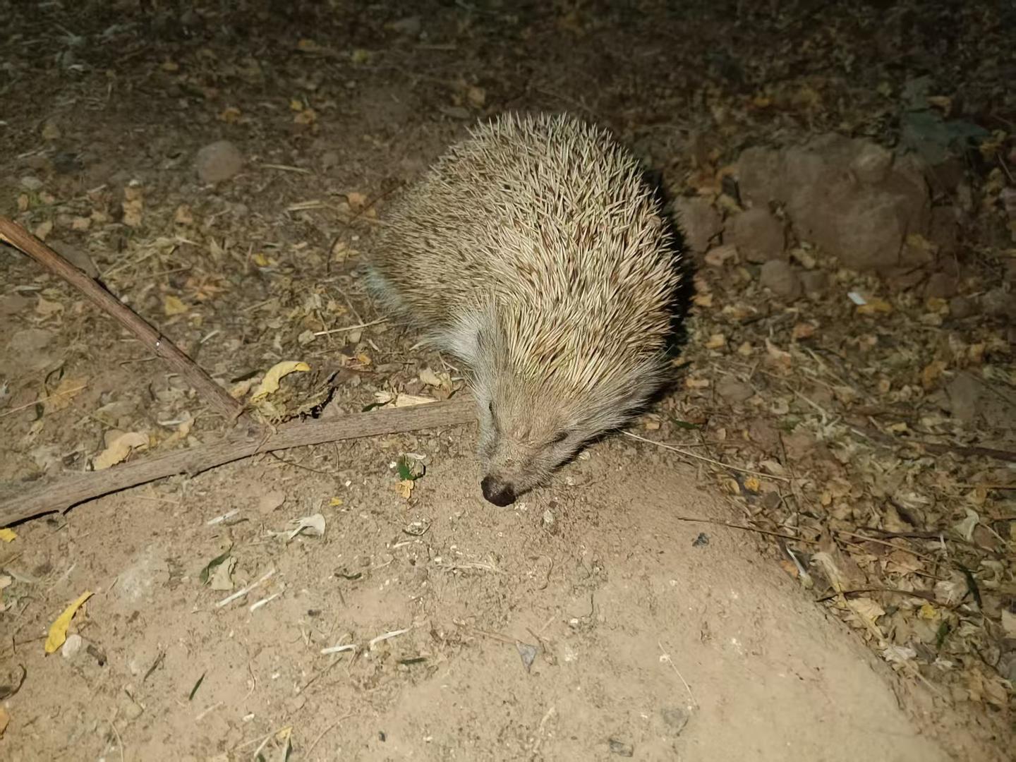 RRF（Reciprocal Rank Fusion）排序融合 - 知乎