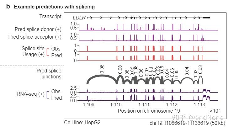 【论文详解】AlphaGenome——Sequence-to-Multimodal-Genome-Track - 知乎
