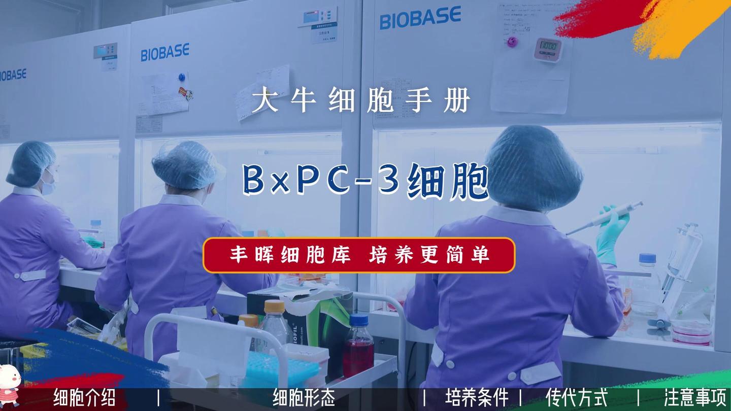 BxPC-3细胞培养，人原位胰腺腺癌细胞培养攻略 - 知乎