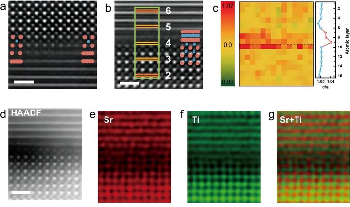 客户成果丨南方科技大学《Advanced Materials》：用于精确界面重构和极性拓扑的撕裂堆叠扭曲SrTiO₃莫尔超晶格 - 知乎