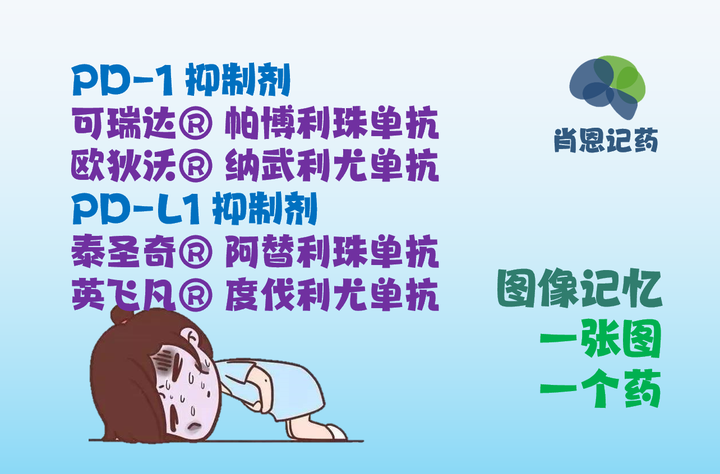记住所有FDA生物药 | 免疫检查点PD-1/PD-L1抑制剂 | 帕博利珠，纳武利尤，阿替利珠，度伐利尤单抗等 | 各种肿瘤 - 知乎