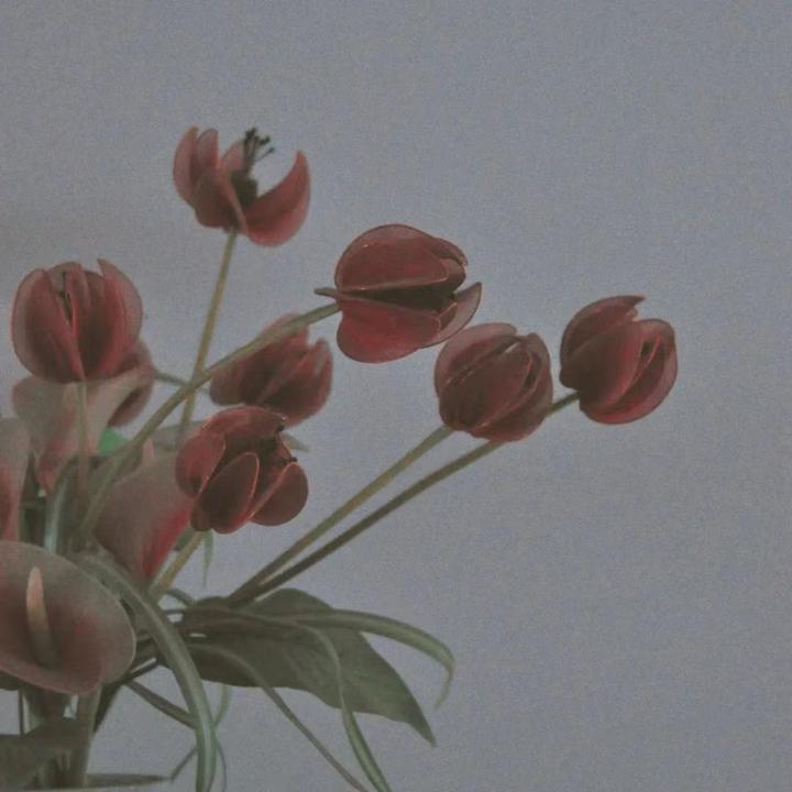 00037《美学》第四部分知识点汇总 - 知乎