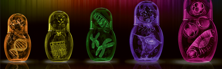 ImageJ实用技巧——单个细胞平均荧光强度自动检测(定量分析篇) - 知乎