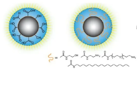 多肽TAT接枝/功能肽RGDC修饰荧光碳量子点/碳量子点修饰多肽LyP-1的研究 - 知乎