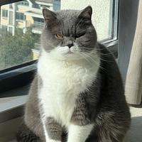 了解 torch lightning（一）：optimizer - 知乎