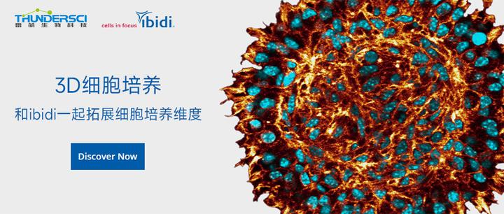 3D细胞培养|和ibidi一起拓展细胞培养维度 - 知乎