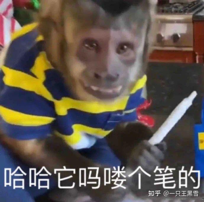 有没有发疯搞笑的表情包? - 知乎