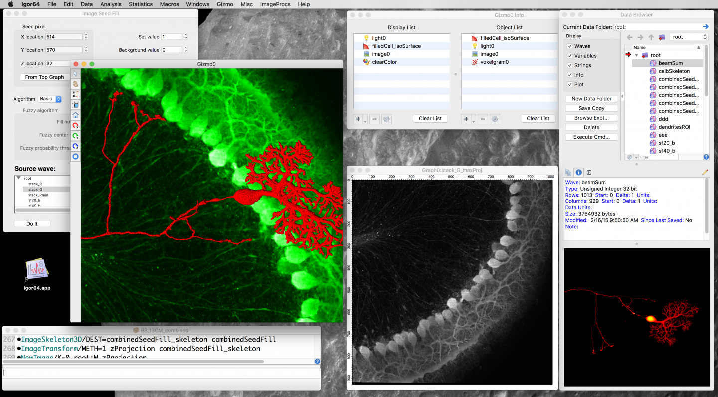 Igor Pro —数据分析及绘图软件 - 知乎