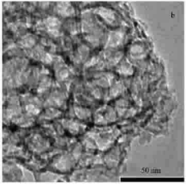 粒径50 nm /AFMS氨基化介孔硅纳米粒子/APTES修饰中空介孔硅 - 知乎