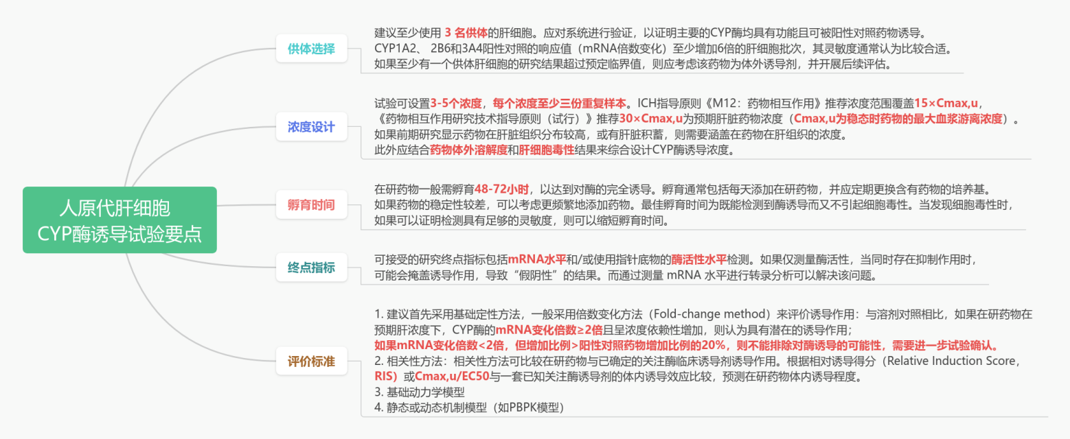 IPHASE/汇智和源 代谢酶相关DDI评估之CYP酶诱导 - 知乎