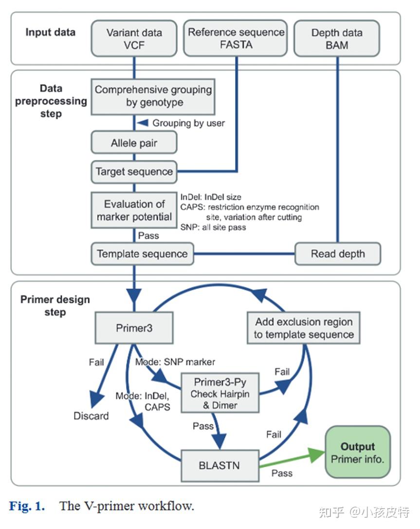 使用V-primer设计引物（根据vcf文件设计InDel引物） - 知乎