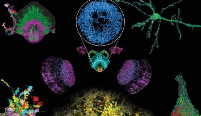 MIT Media Lab，要够「怪」只管来 - 知乎