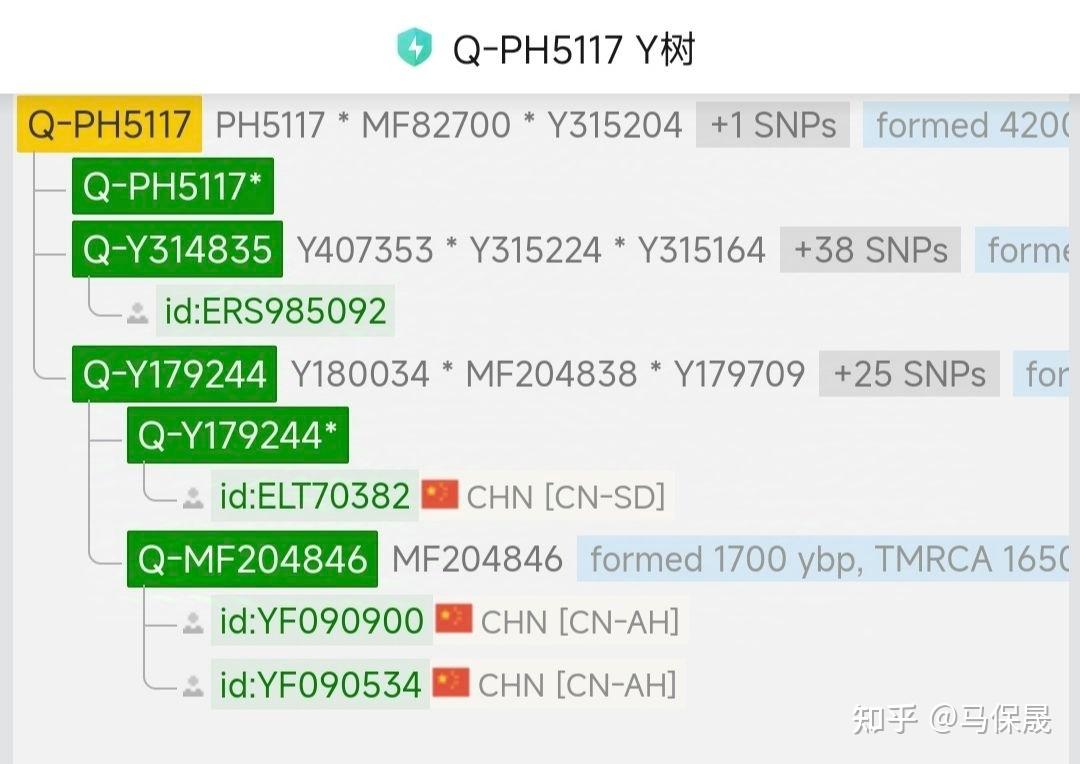 卢水胡：Q1a-PH5117 ？ - 知乎