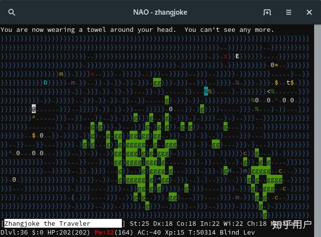如何评价NetHack？ - 知乎