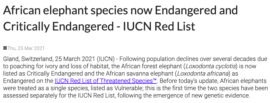 全世界都在保护大象，这个国家却决定猎杀它们 - 知乎