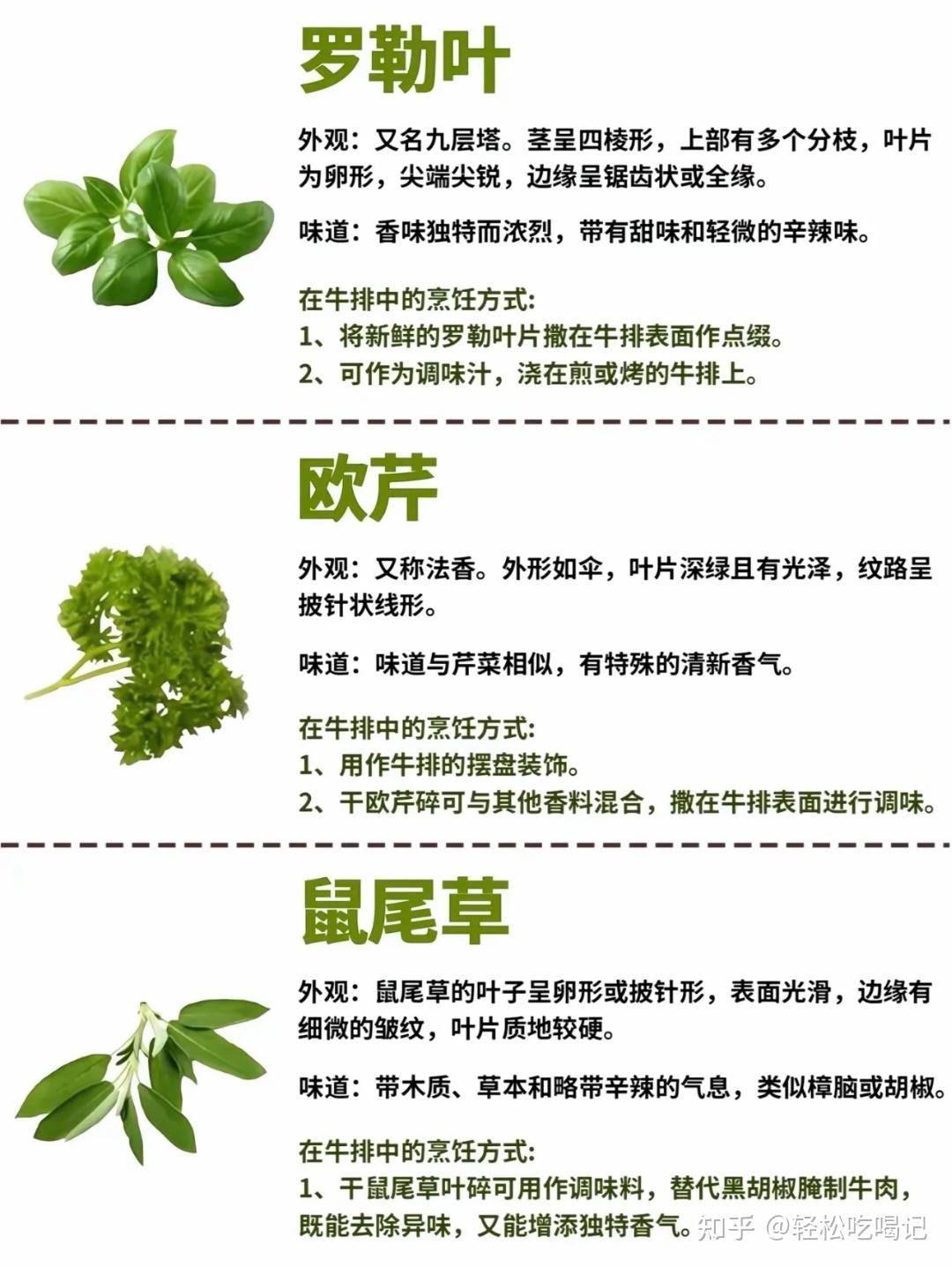 科普|常见西餐牛排香料的区别和用途! - 知乎