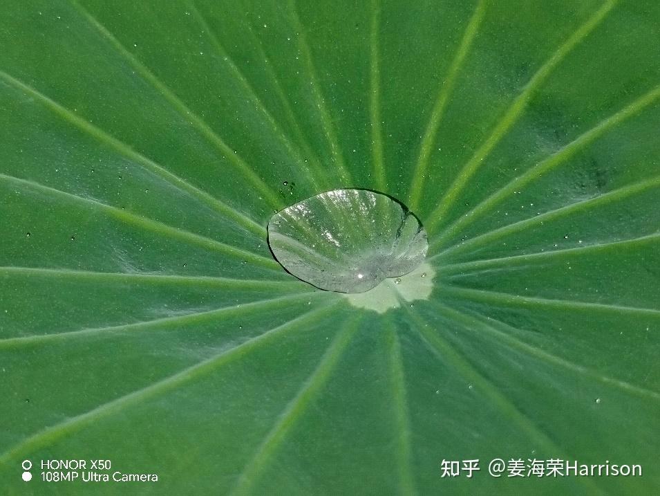 如何看待起售价为 1399 元起的荣耀X50 ？有哪些亮点和不足？ - 知乎