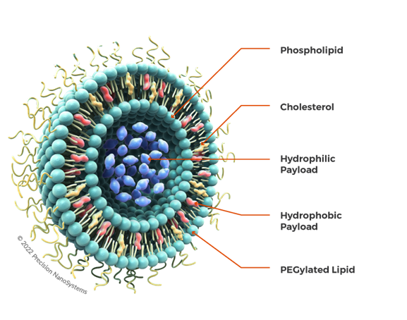 PEG化新藤黄酸脂质体，PEG-GNA-Liposomes - 知乎
