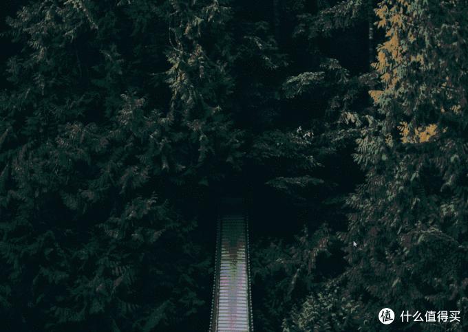 安利一款微软官方的Windows工具集——Microsoft Powertoys - 知乎