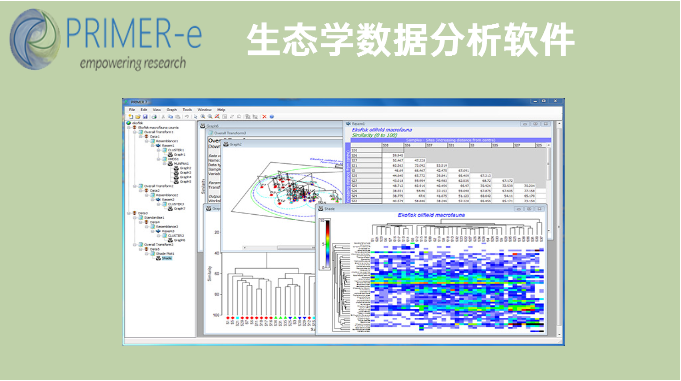 生物信息学软件PRIMER方法介绍 - 知乎