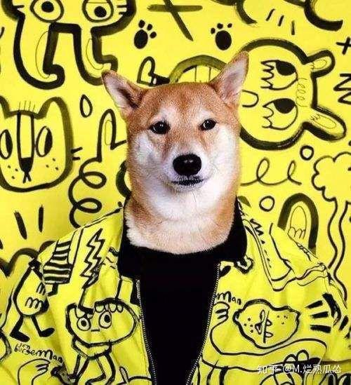 为什么很多男生很爱用狗的图片做头像？ - 知乎