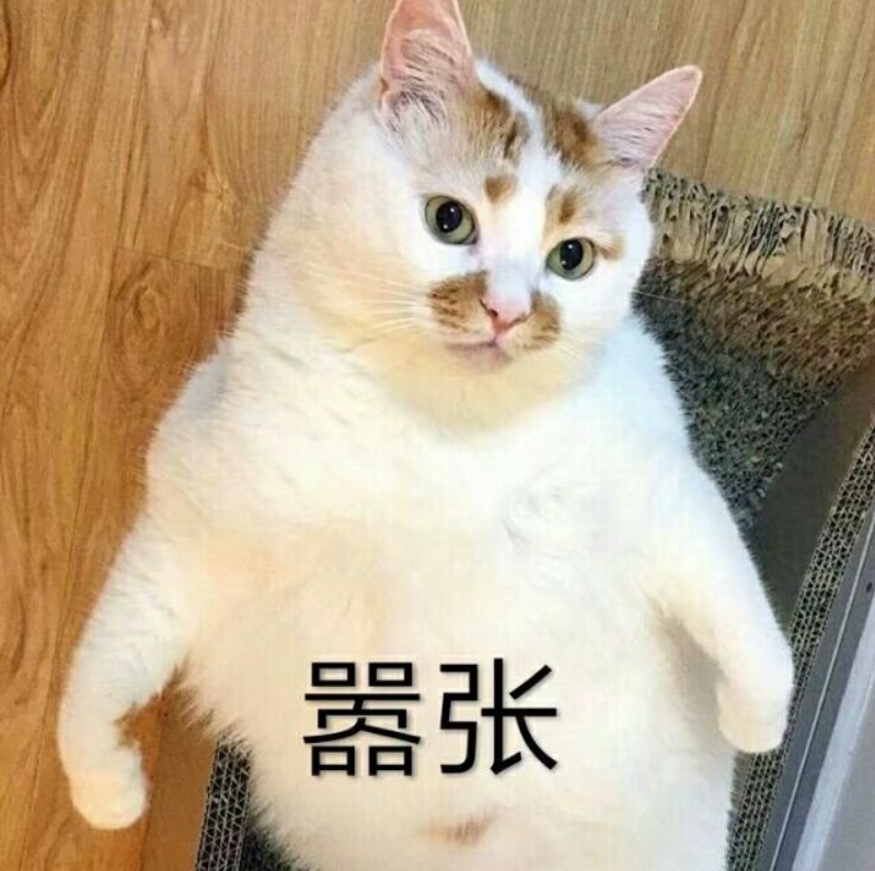 显卡竖装，霸气侧漏！9800X3D+5080+X400装机分享 - 知乎