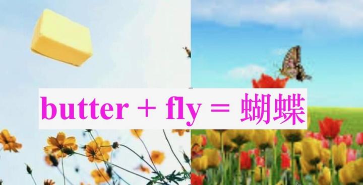 每天快乐一分钟英语（A fly can fly. 中文意思？) - 知乎