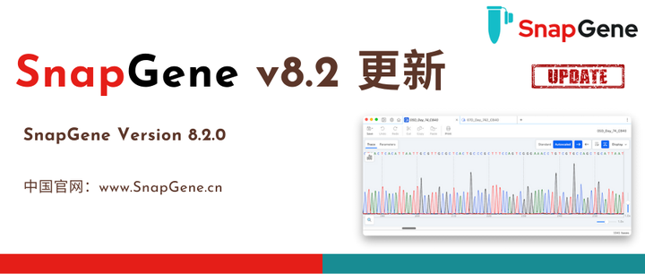 SnapGene v8.2 更新 - 知乎