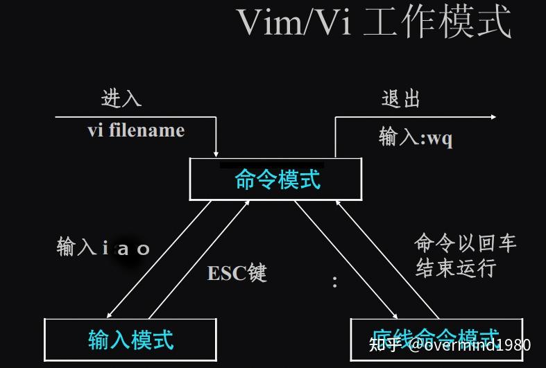 oeasy教您玩转vim - 10 - # 插入新行 - 知乎