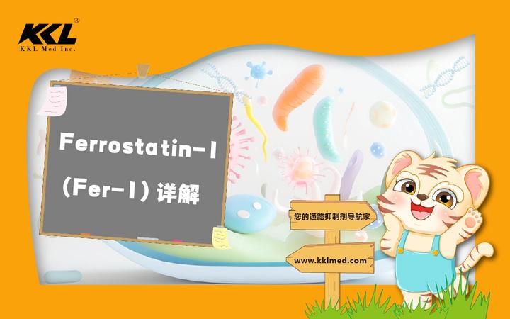 Ferrostatin-1 (Fer-1) 详解 - 知乎