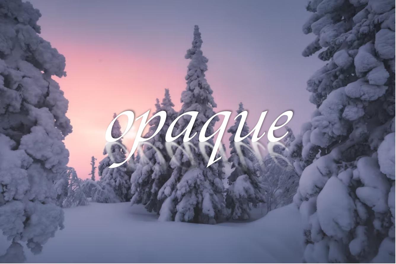 小词详解 | opaque - 知乎