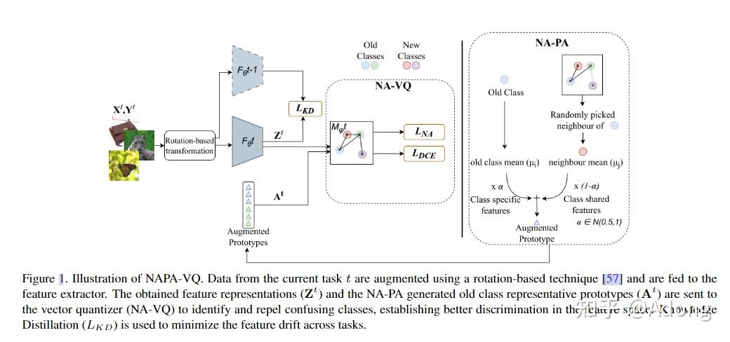 NAPA-VQ: Neighborhood Aware Prototype Augmentation with Vector ...