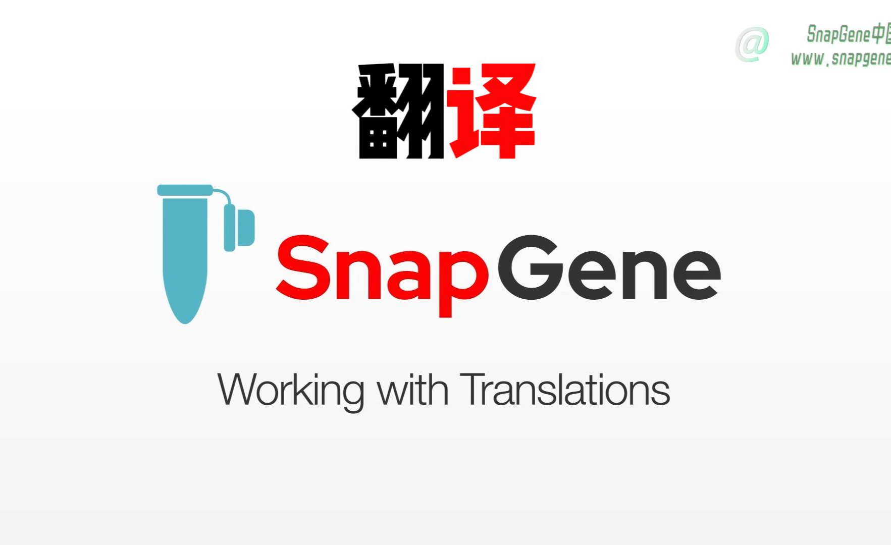 SnapGene 翻译 - 知乎