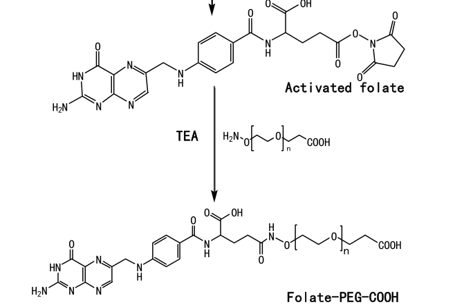 COOH-PEG5K-Amine,NH2-PEG-COOH,叶酸靶向的量子点荧光探针的制备过程 - 知乎