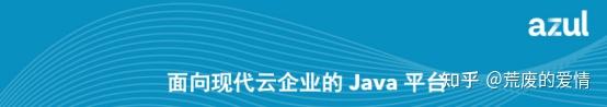 Azul Systems 是什么样的公司？ - 知乎